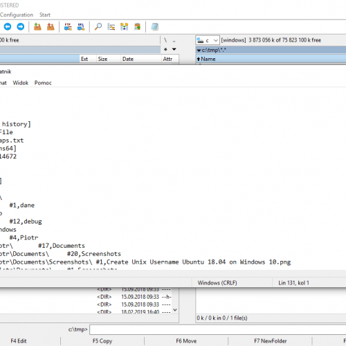 Opening wincmd.ini Settings File in Total Commander · Rename File with ...